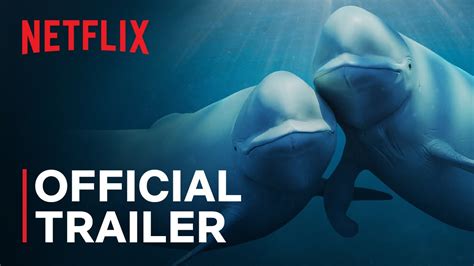 Netflix Geeft Trailer Vrij Van Documentaire Our Oceans Met Barack Obama