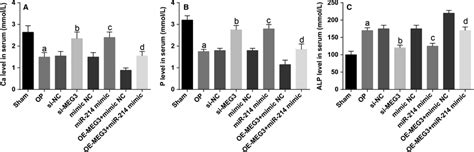 Meg3 Silencing And Mir‐214 Overexpression Elevate Ca And P Contents And Download Scientific