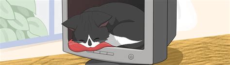 Calceto Calcetin Calceto Ruben Vgen