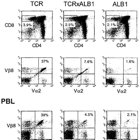 Partial Deletion Of Tcr Tg Cells In The Thymus Of Alb1 Mice Thymocytes