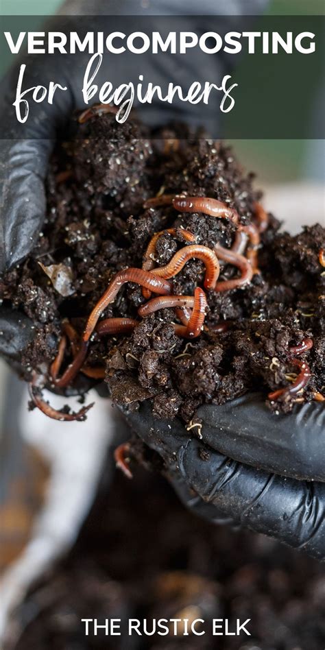 Vermicomposting For Beginners Artofit