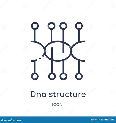 Linear Dna Structure Icon From Future Technology Outline Collection Thin Line Dna Structure