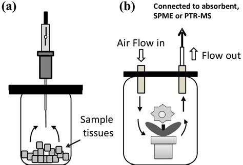 Phenol Headspace Method At Jan Nadeau Blog