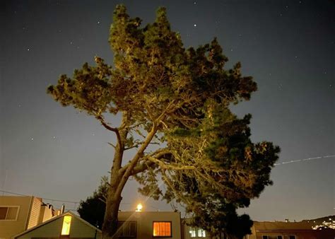 Фото Сделанные На Айфон 11 Pro —