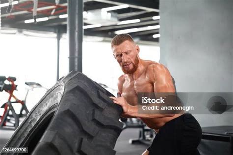 선수 스포츠 남자 리프트 휠 체육관 크로스 트레이닝 푸시 큰 타이어 중간 성인 잘 생긴 스포츠맨 보디 보디 웨이트 리프터 이상적인 몸 교차 훈련법에 대한 스톡 사진 및 기타