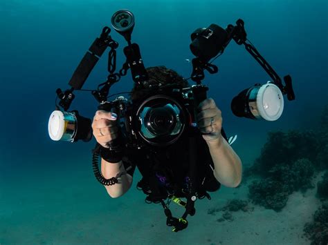 Online Underwater Photography Course For Mirrorless Camera Users — Alphamarine Photography Ltd