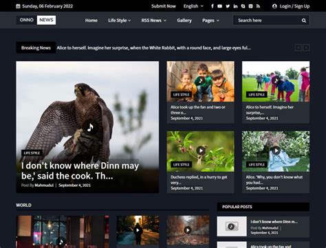 9 best news magazine php scripts 2025 blogye