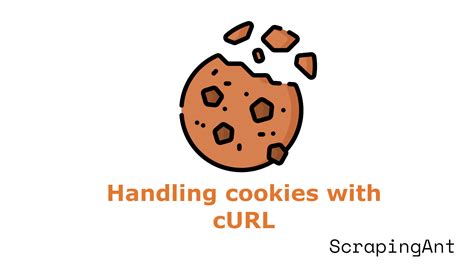 Using Cookies With Curl Scrapingant