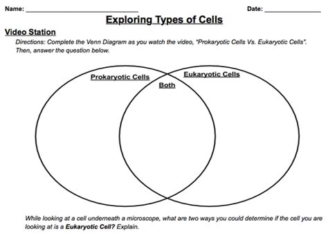 Types Of Cells Jonathans Classroom