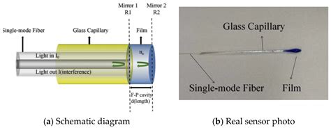 Methylene Blue Optical Fiber Sensor Filled With Calcium Alginate Hydrogel