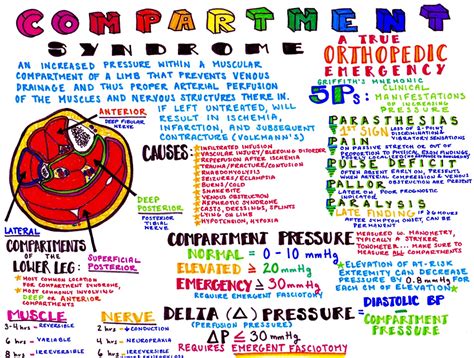 The Dreaded Acute Compartment Syndrome Emdocs