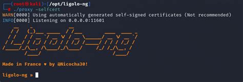 Exploiting Generative Ai Apps With Prompt Injection Infosec Write Ups