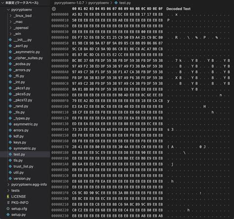 New Malicious Pypi Packages Used By Lazarus Jpcertcc Eyes Jpcert Coordination Center