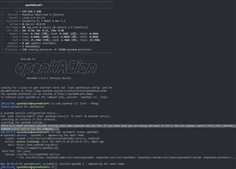 Root Instance Already Running Oh Wont Start Beginners Openhab