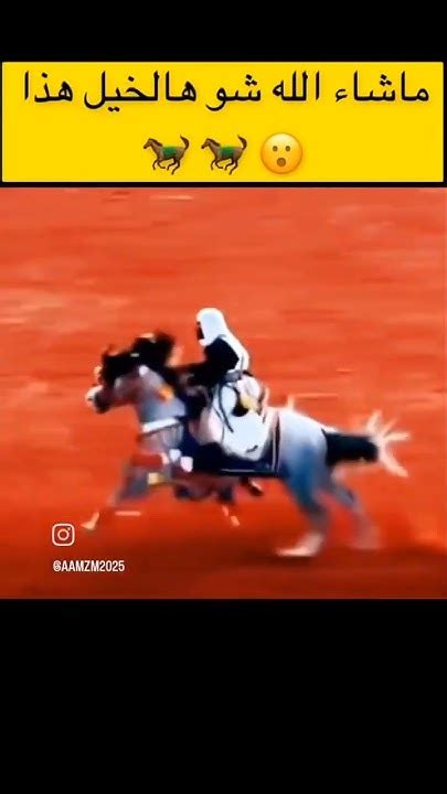 خيل عربي Youtube