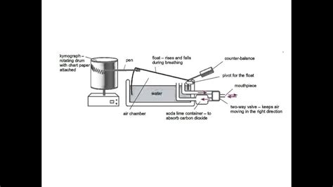 Spirometer Trace As Ocr Biology Whs Youtube