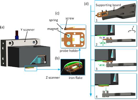Design Of The Probe Loading Scheme A Moving Parts In The Afm Head Download Scientific