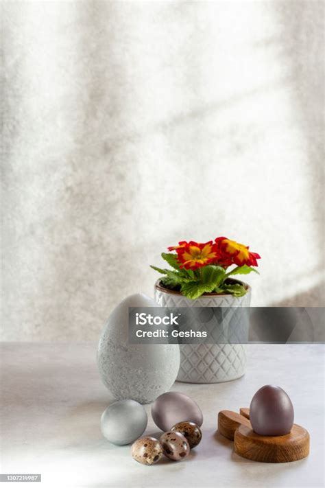 화창한 날에 회색 배경에 냄비에 화려한 부활절 달걀과 앵초 꽃 행복한 부활절 개념 공간을 복사합니다 개념에 대한 스톡 사진 및 기타 이미지 Istock