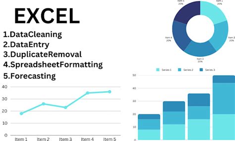 Clean Format Remove Duplicates And Do Data Entry In Excel By Pankuexcel Fiverr