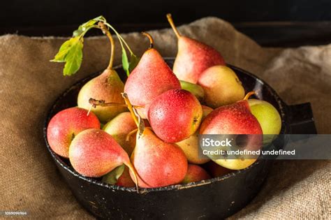 소박한 나무 테이블 자연 배경 베가 신선한 익은 유기농 빨간 배 다이어트 음식 가 추수입니다 가방에 수 분이 많은 과일 가 분위기입니다 가을에 대한 스톡 사진 및 기타