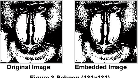 Figure 3 From A New Data Hiding Scheme With Quality Control For Binary Images Using Block Parity