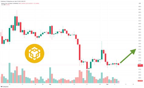 바이낸스 코인 가격 예측 Bnb Xrp 제치고 시총 5위 탈환 Bnb가 1000까지 오를 수 있을까