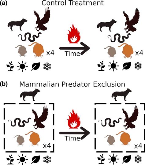 The Predator Exclusion Experiment Was Conducted Over A Span Of 2 Years Download Scientific