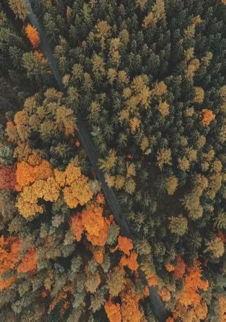 스마트워치 동기화 설정 및 초기화 방법 임플란트의 모든 것