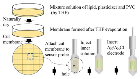 Fabrication Process Of Sensor Electrode Download Scientific Diagram