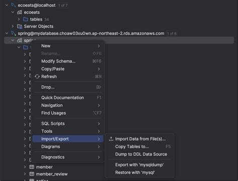 Database Export Import