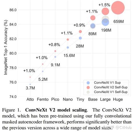 Convnext V Mae Convnext