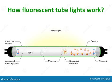 Schematic Diagram Of Fluorescent Lamp Fluorescent Tube Work