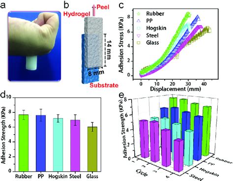 Self Adhesive Properties Of Hydrogels A Hydrogel 10 G Can Adhere