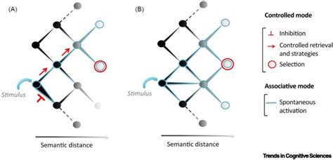 Associative Thinking At The Core Of Creativity Trends In Cognitive