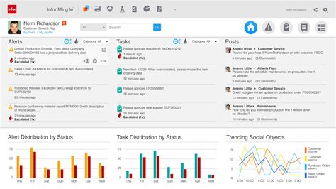 Infor10 Ion Review 2018 Pricing Features Shortcomings