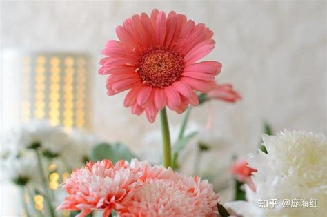 一位60岁大妈的醒悟：生一场大病，才看清儿媳和女儿谁更可靠 知乎