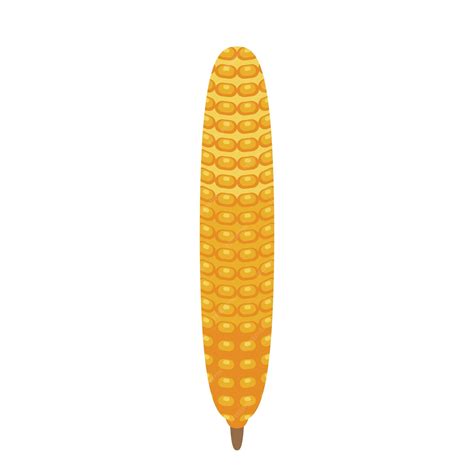 Premium Vector Corn Icon Isometric Of Corn Vector Icon For Web Design