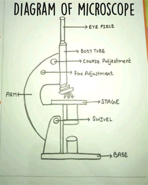Diagram Of Microscope Science Projects Medical School Stuff Things Under A Microscope