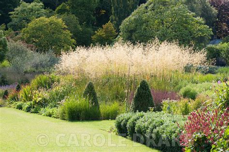 Garden Inspiration Pinterest Board 24 Ideas From Stipa Gigantea Is