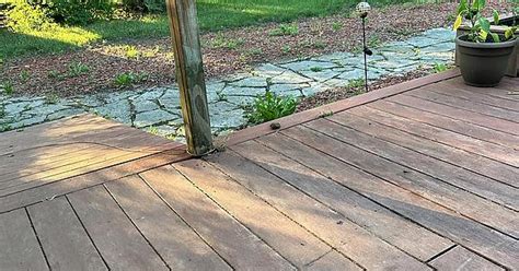 A Toad Came To Visit Me Today Album On Imgur