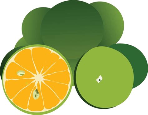 3 Dalandan Image Stock Vectors And Vector Art Shutterstock