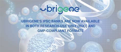 Clinical Ipsc Banks Released To Advance Cell Therapy Ubrigene