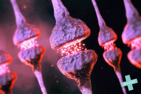 도파민 중독 뜻 증상 치료 테스트9가지 네이버 블로그