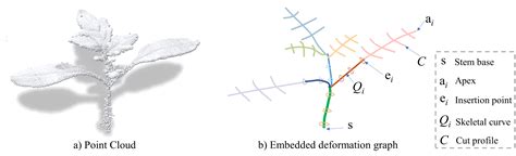 Plant4d Spatio Temporal Registration Of Plants Non Rigid 3 D Structures
