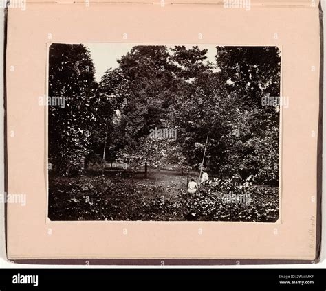Harvesting Of Nutmeg C Dietrich Photographer 1875 1890