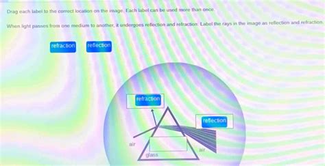 Solved Drag Each Label To The Correct Location On The Image Each Label Can Be Used More Than