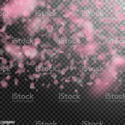 아래로 떨어지는 사쿠라 꽃잎 로맨틱 핑크 꽃 그라데이션입니다 다시 투명 한 광장에 플 라 잉 꽃잎 간통에 대한 스톡 벡터 아트 및 기타 이미지 Istock