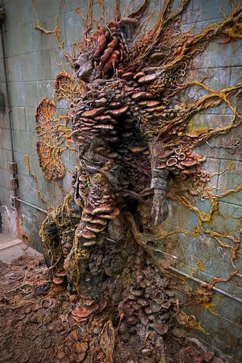 Zombie Images In Real Life Zombie Fungus Is Not A Real Life Threat To