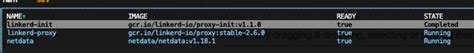 linkerd enabled namespace extra containers · issue 62 · netdata