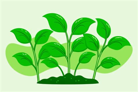 Plant Seedlings Vector Illustration Line Circuit Premium Ai Generated